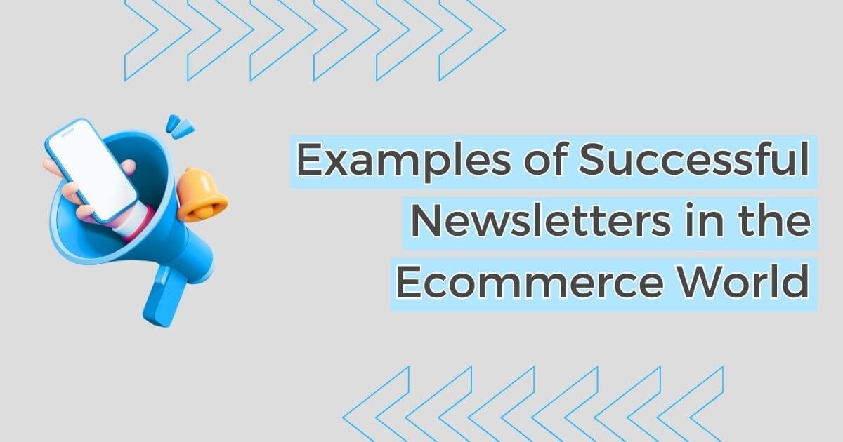 Examples of Successful Ecommerce Newsletters - IDX Innovadeluxe